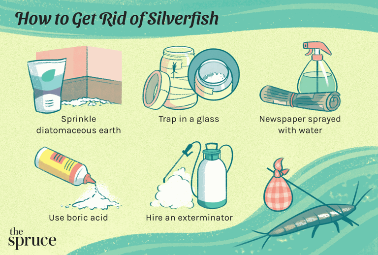 Don't let silverfish get comfortable in your home—here's how to keep ...