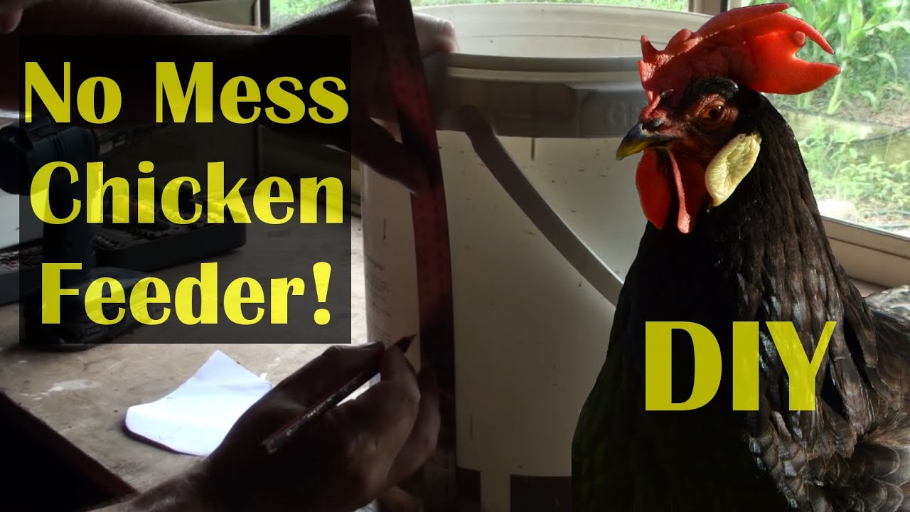 DIY chicken feeder bin no mess bulk cheap & easy to do!