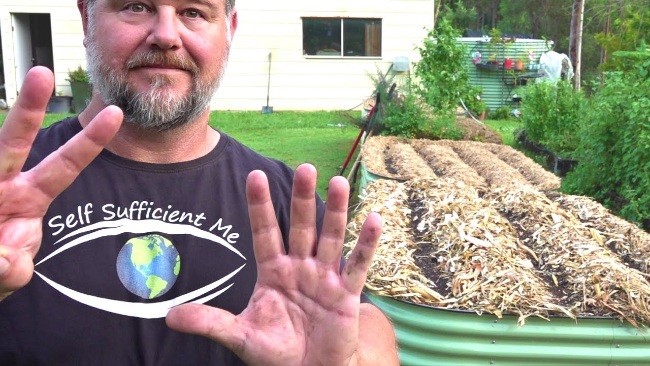 7 tips to keep vegetables growing healthy