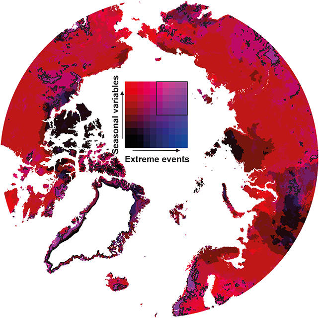 The Arctic has entered a new era of 'extreme weather', scientists warn