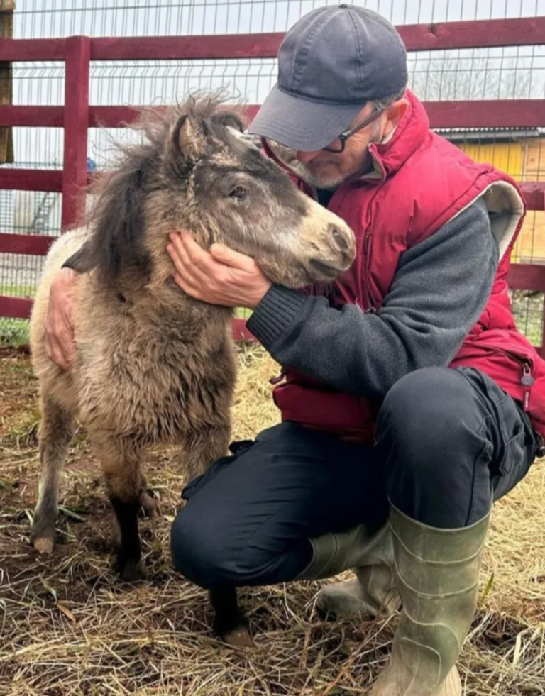 Ukrainian shelter founded by Italian saves 500 animals from war areas