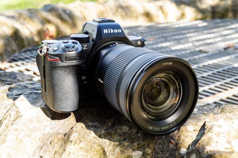 The best cameras for photography in 2026: new cameras for wildlife ...