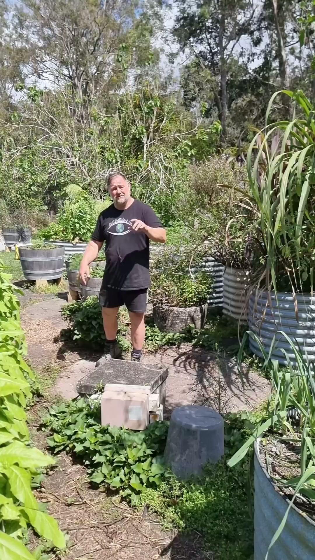 My toilet waters our garden #Shorts