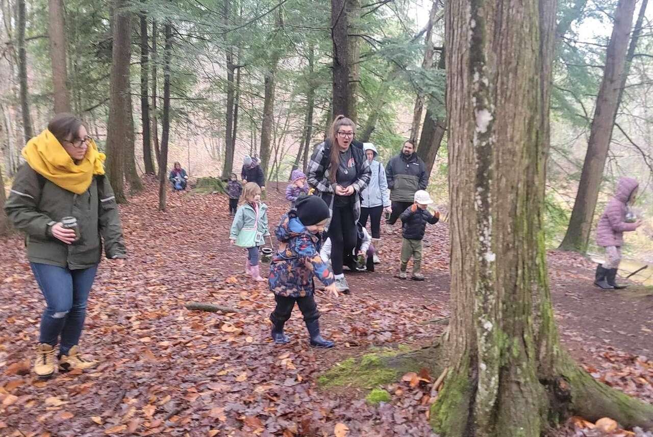 NoMi Forest Explorers providing nature-based education