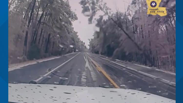 Video: State police dash cam captures frozen tree crashing down