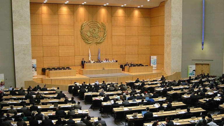 La ONU busca mexicanos para trabajar: hay puestos desde pasante hasta jefe