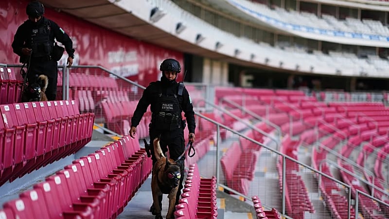 At least 11 killed and 12 wounded in shooting at Mexico football field ...