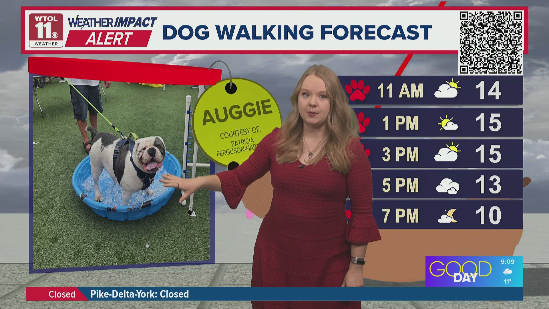 Dog walking forecast: Blowing and drifting snow, frigid cold 'red paw ...