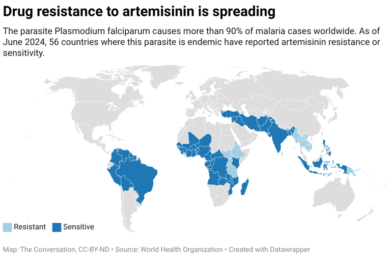 Malaria researchers are getting closer to outsmarting the world’s ...