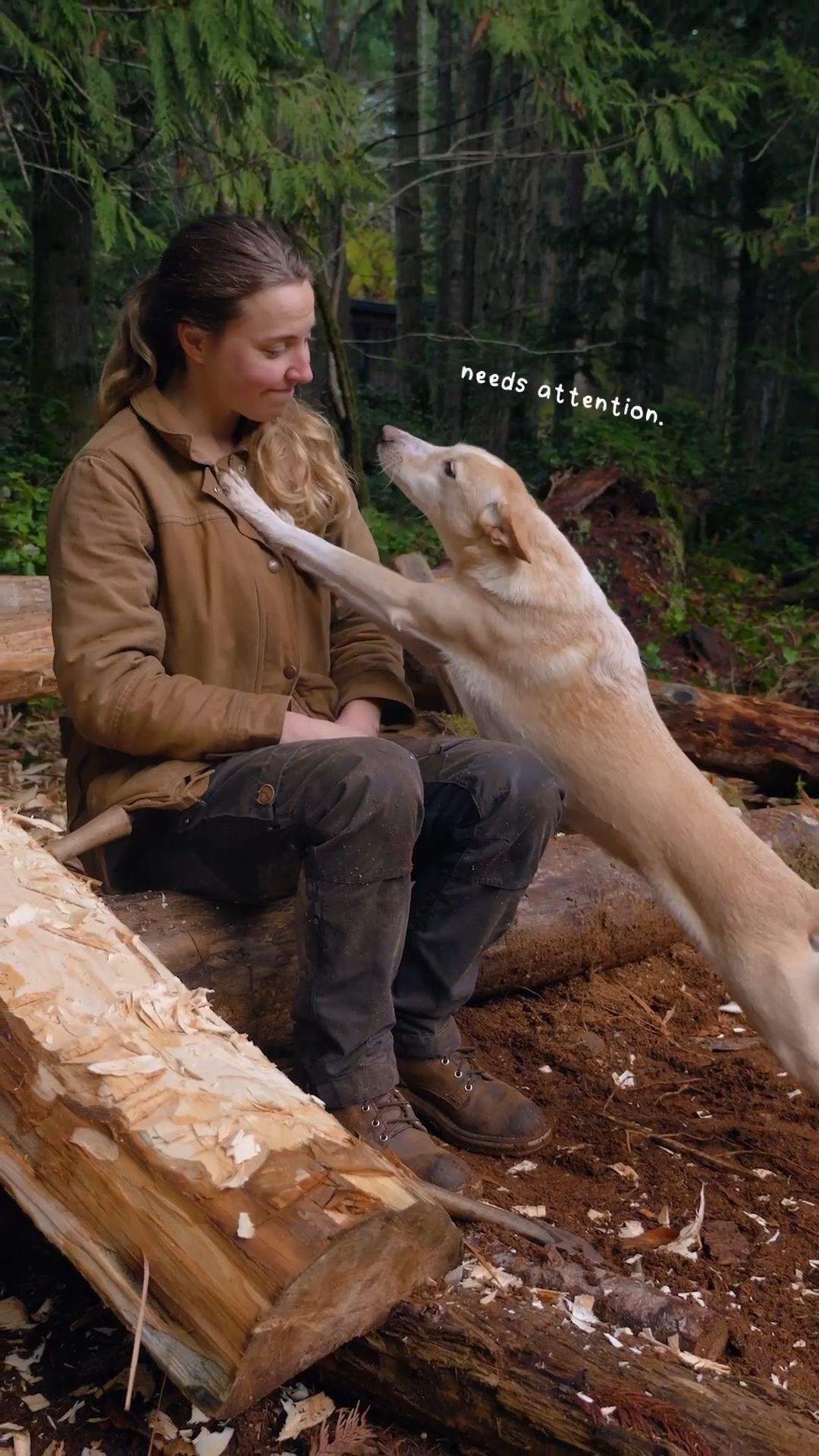 Quality time with my dog, Bambi | Rural life | Woodchopping