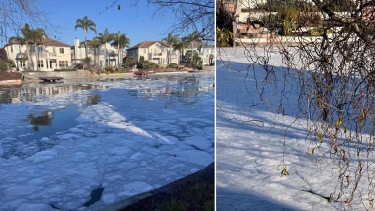 Bubbles in Bay Farm Lagoon determined to be sea foam