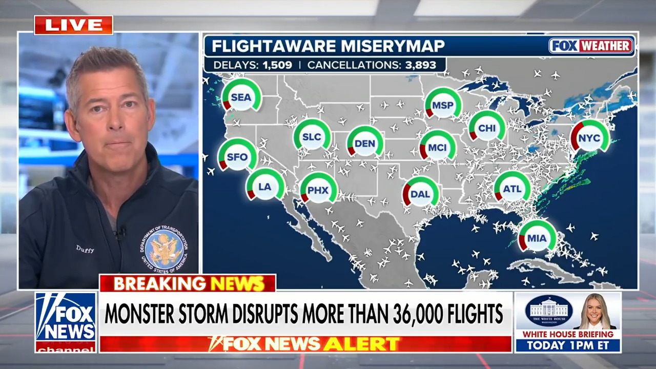 Transportation secretary unveils efforts to mitigate flight disruptions ...