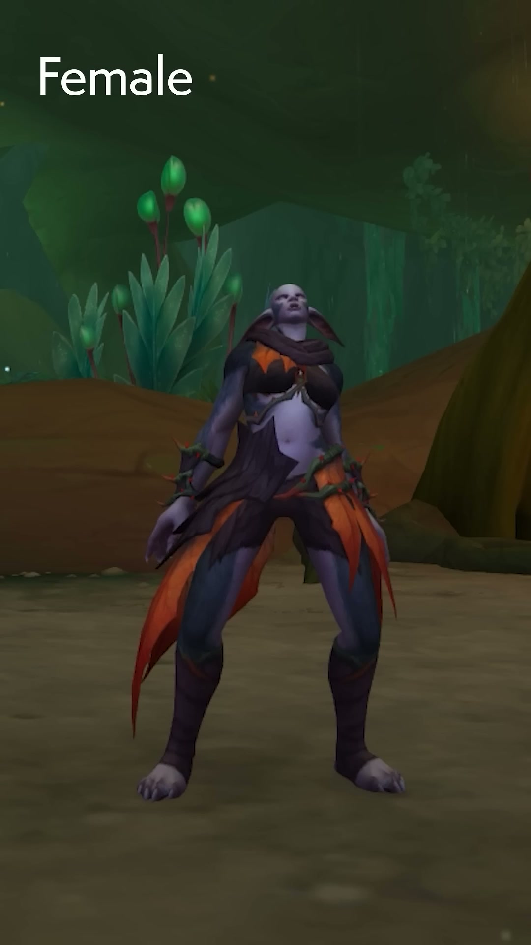 Haranir allied race dance animation in Midnight 🕺