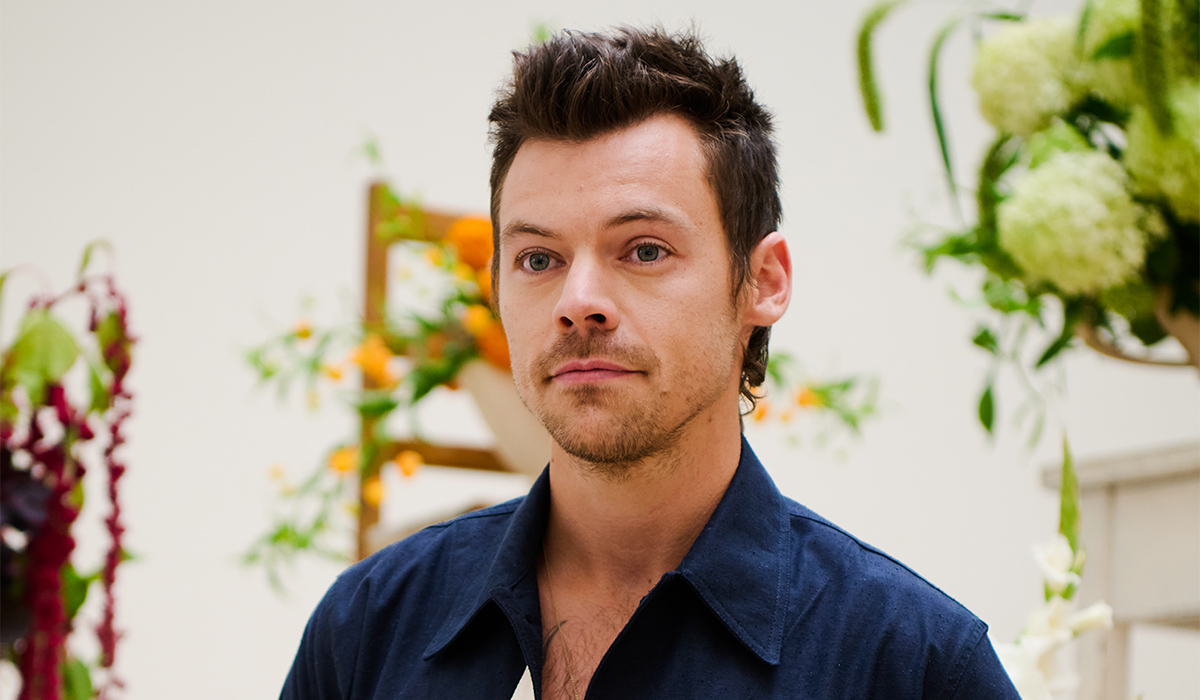 Where are they now? Beloved X Factor star resurfaces after Harry Styles ...