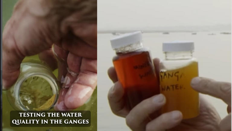 'Water here is full of human waste': British biologist's Ganga water ...