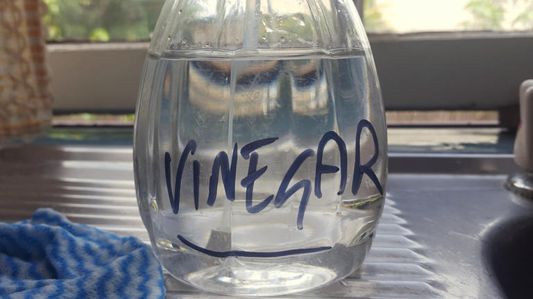 This easy way to clean your glass oven door works like magic