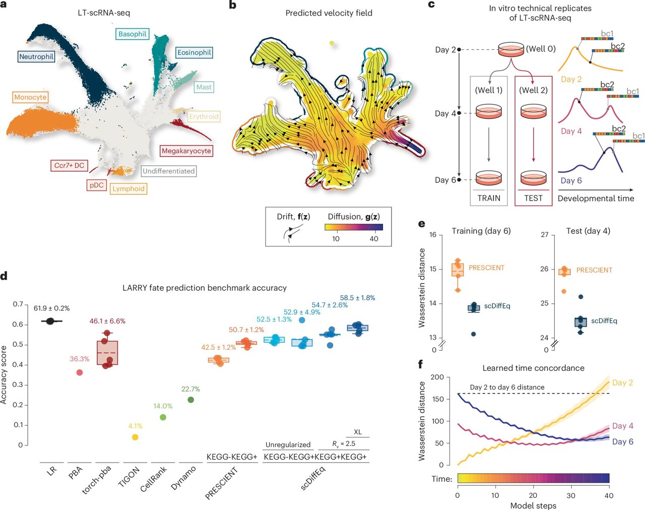 Mapping cell development with mathematics-informed machine learning