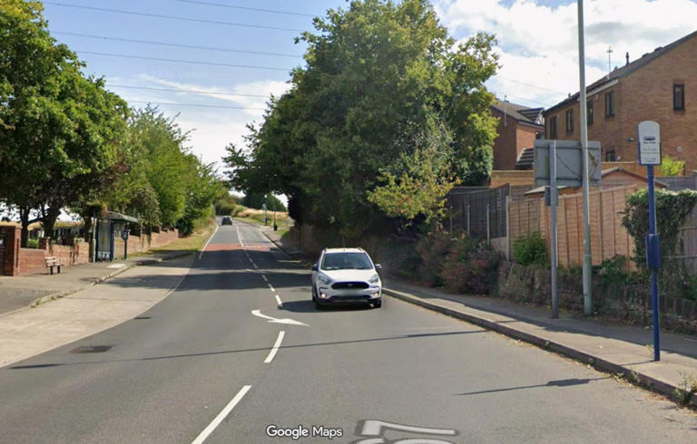 Wood Lane Treeton: Pedestrian left with 'life altering injuries' after ...