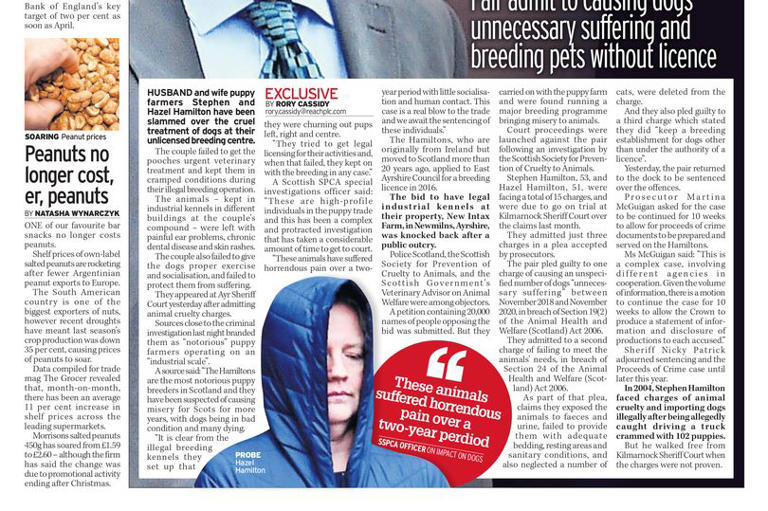 Husband and wife puppy farmers banned from keeping animals after ...