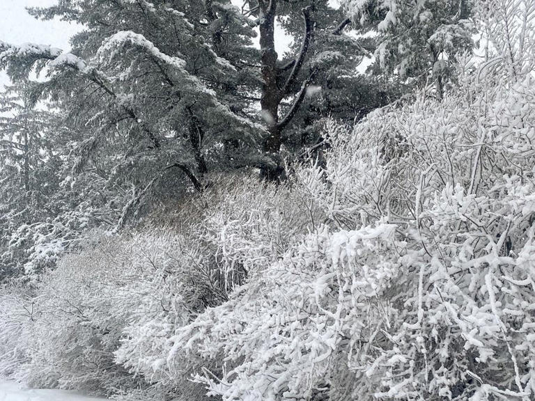 Southampton prepares for major winter storm: Latest forecast, closures ...