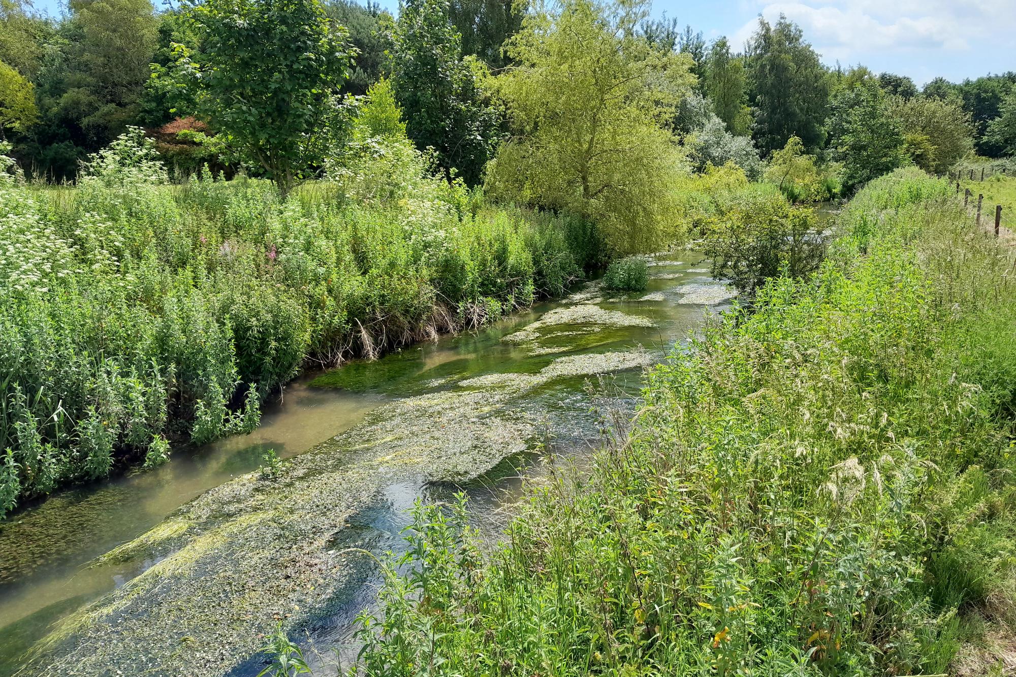 Ten-year plan is launched to protect Lincolnshire's important chalk streams