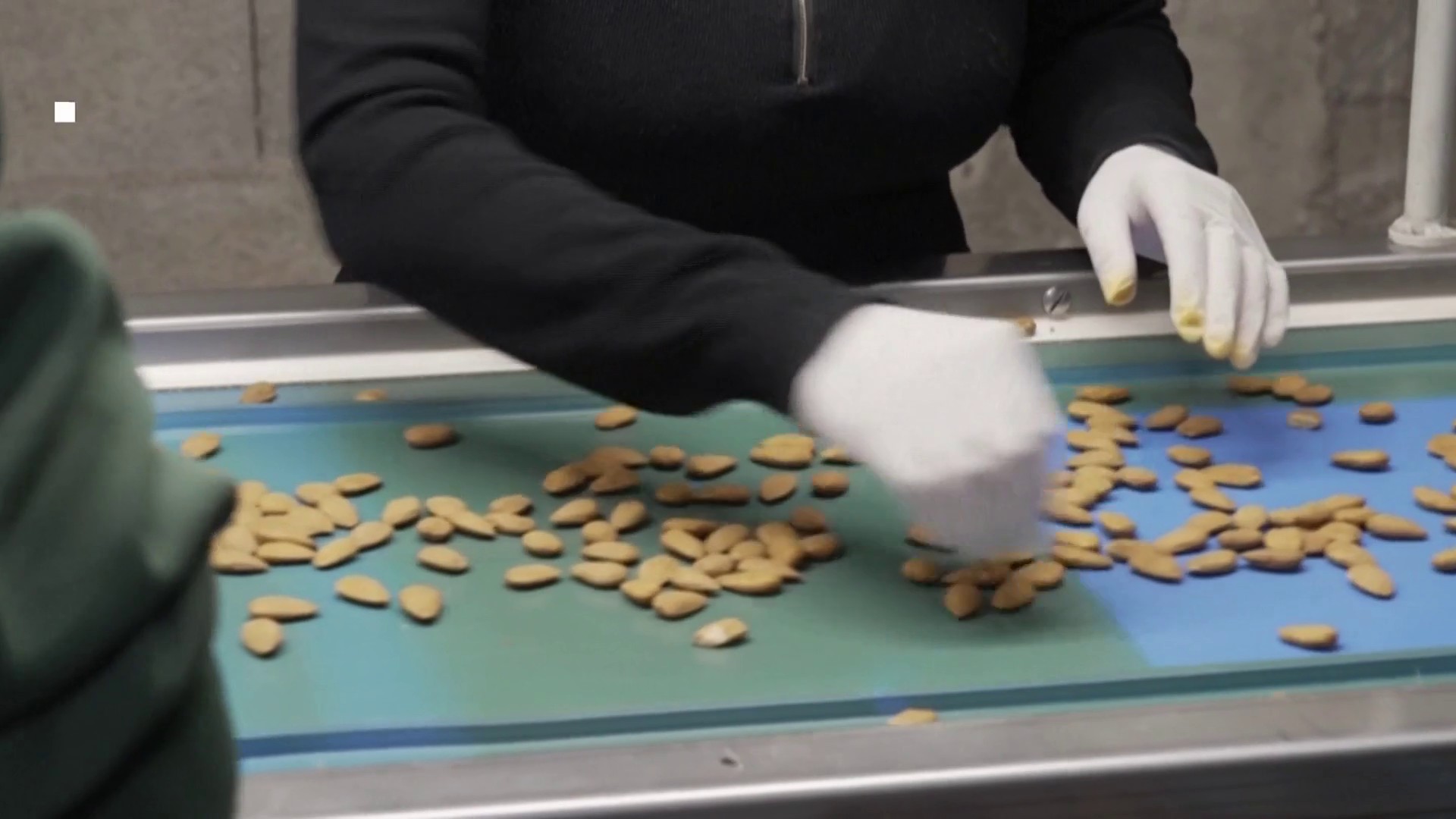 La colère des producteurs d'amandes