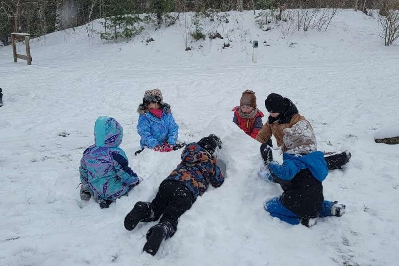 NoMi Forest Explorers providing nature-based education