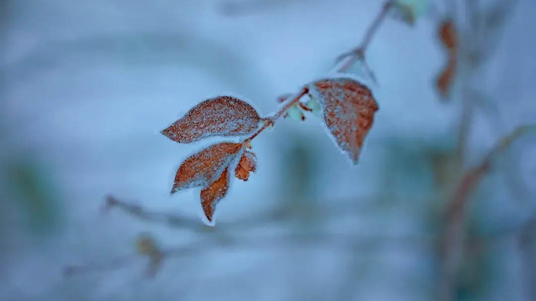13 dead as massive winter storm slams US., extreme cold follows - USA ...