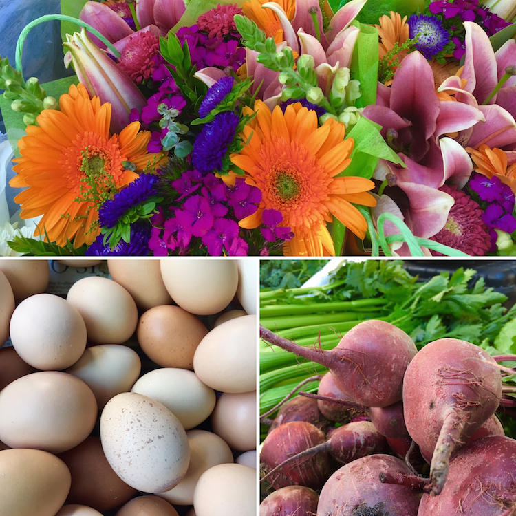 Sunny Santa Barbara: 13 top things to do with kids