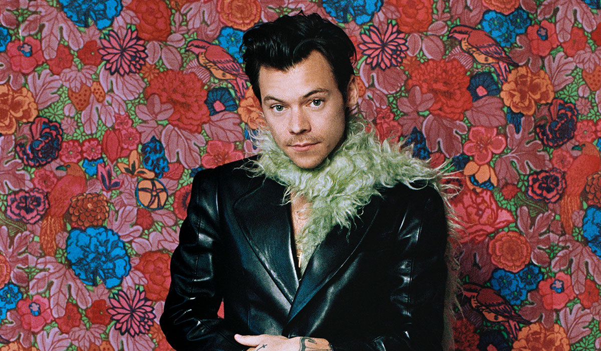 Irish fans left furious by Harry Styles Wembley ticket costs