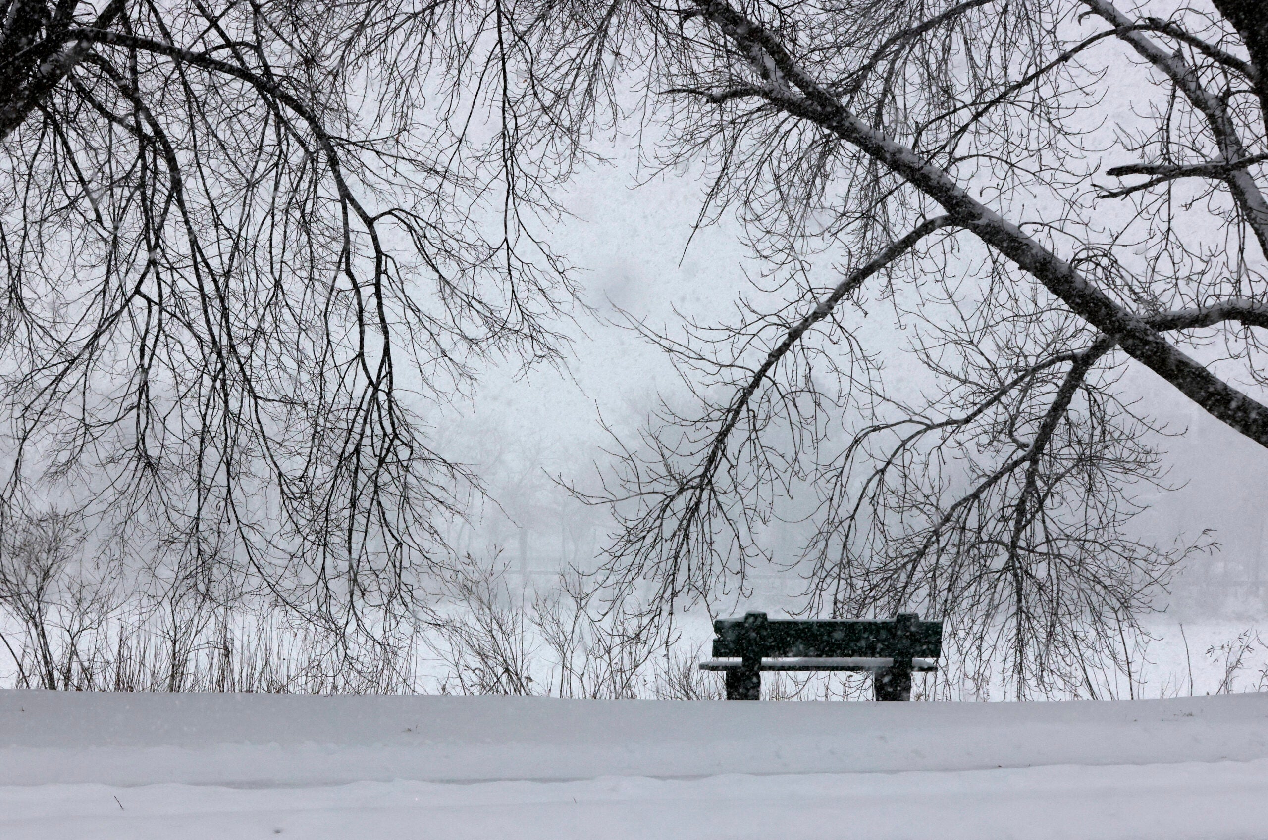 No snow day at Harvard – they’re open