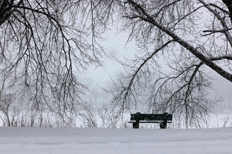 No snow day at Harvard – they’re open