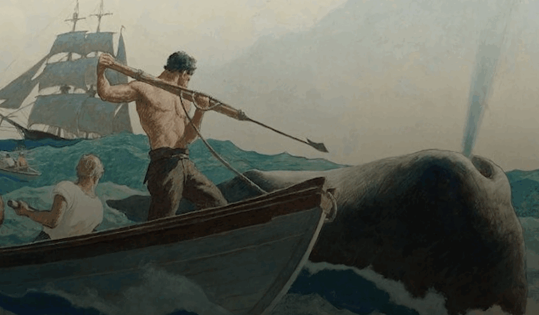 What if humans never began the slaughter of whales?