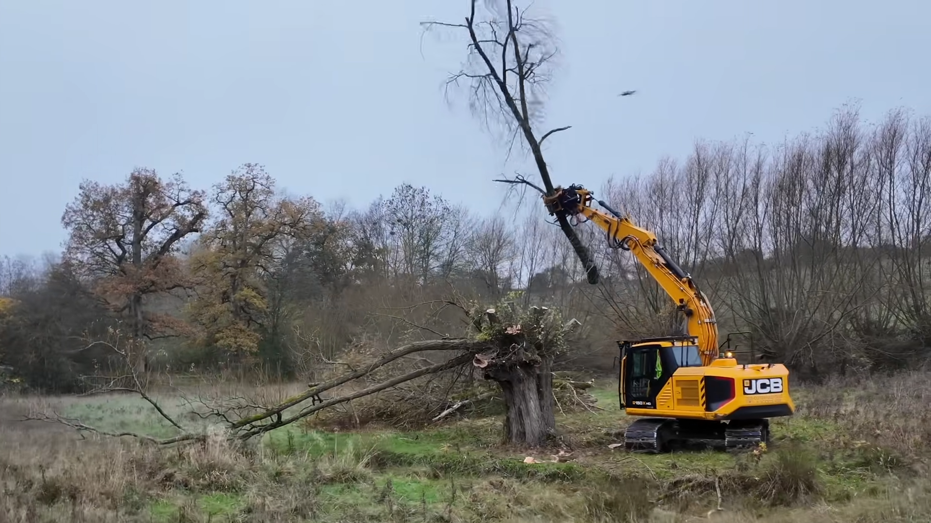 Operating a massive 21 tonne excavator tree saw