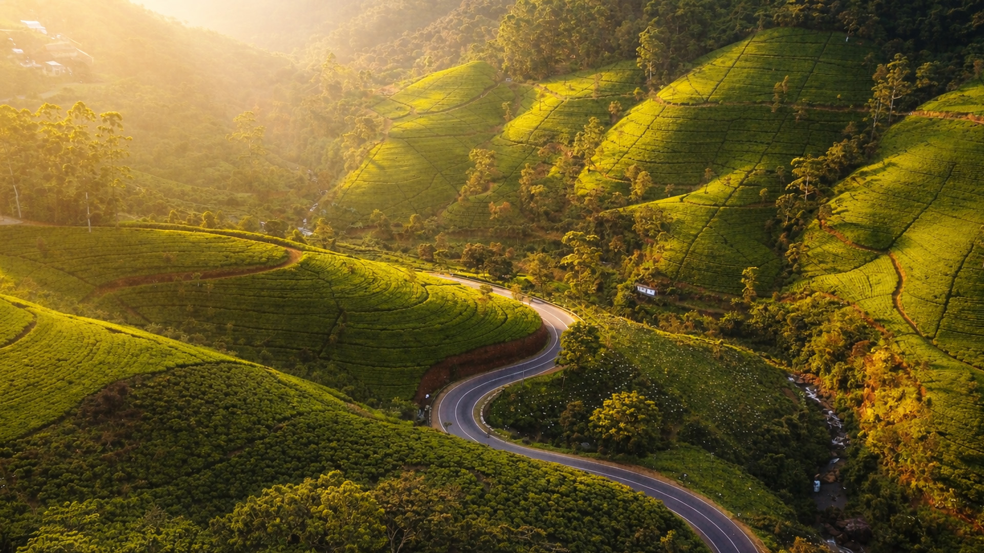 Winding roads through green hills
