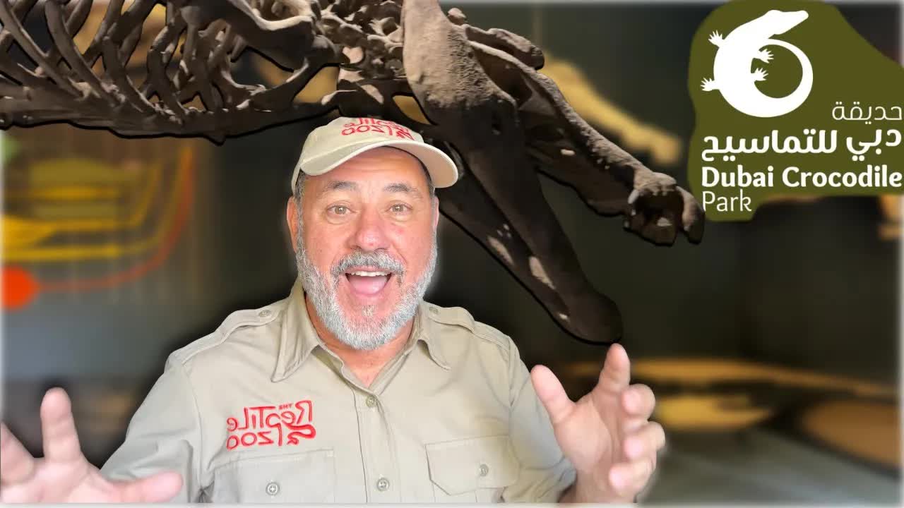 Fun times in Dubai: Visiting a park full of crocodiles🙌