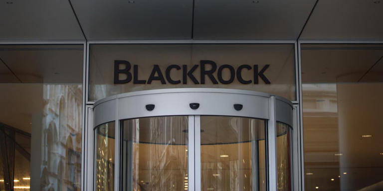 Another cockroach? Why a private-credit fund run by BlackRock is ...