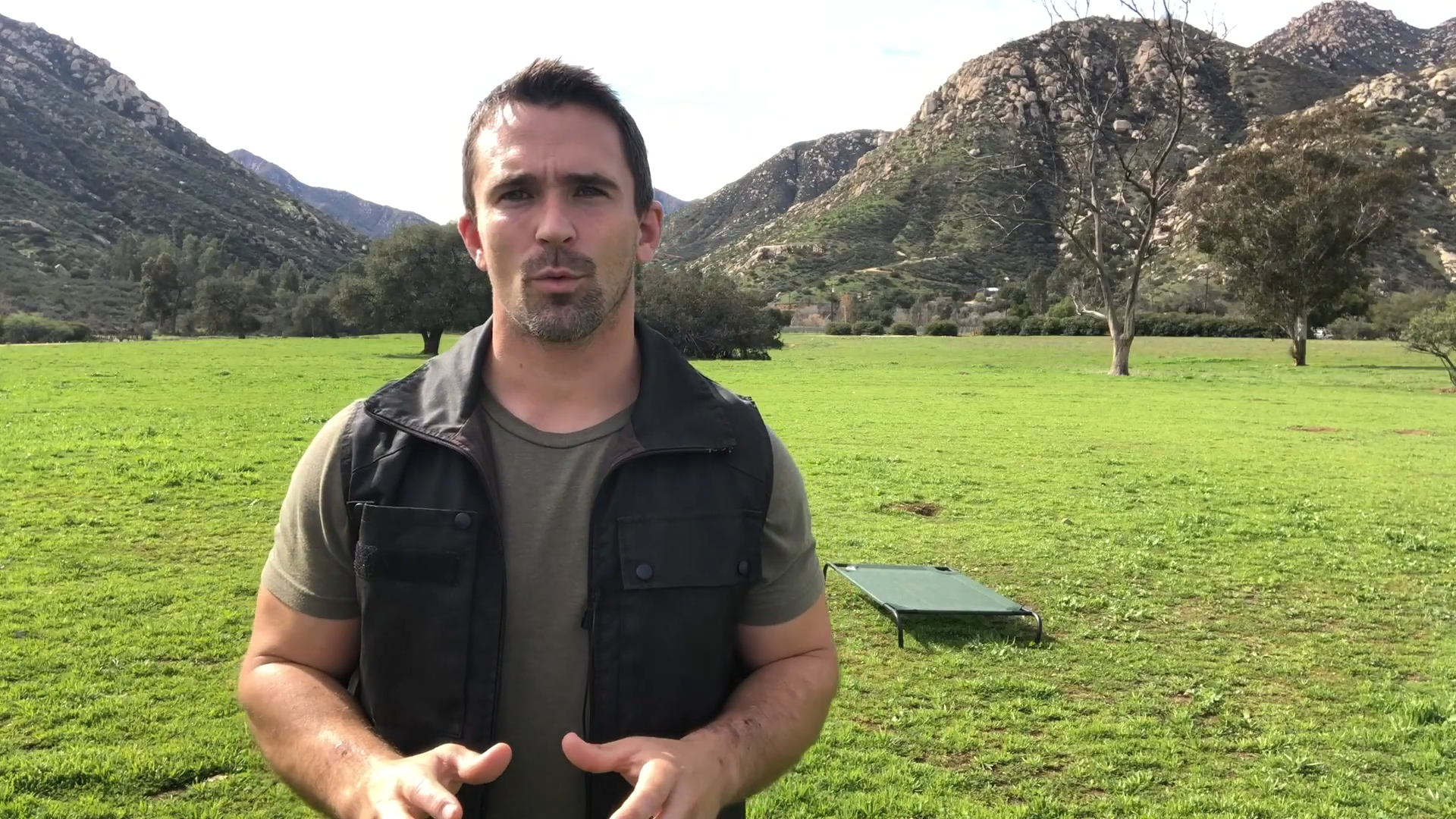 What "my dog is ready" gets wrong before training begins