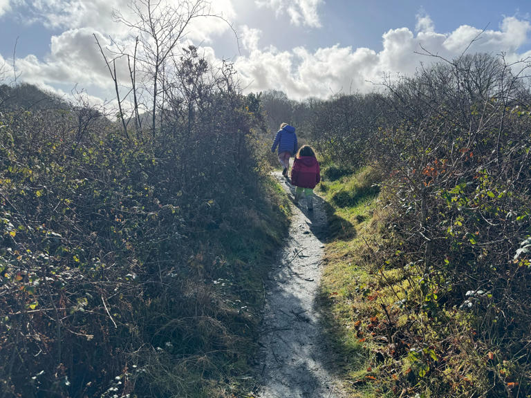 'Tucked away' West Midlands country park that was once one of the ...
