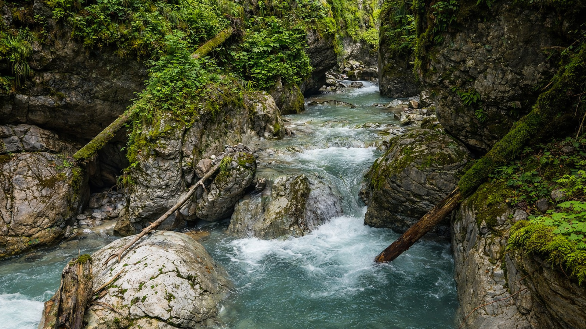 Have you seen a gorge like Seisenbergklamm?