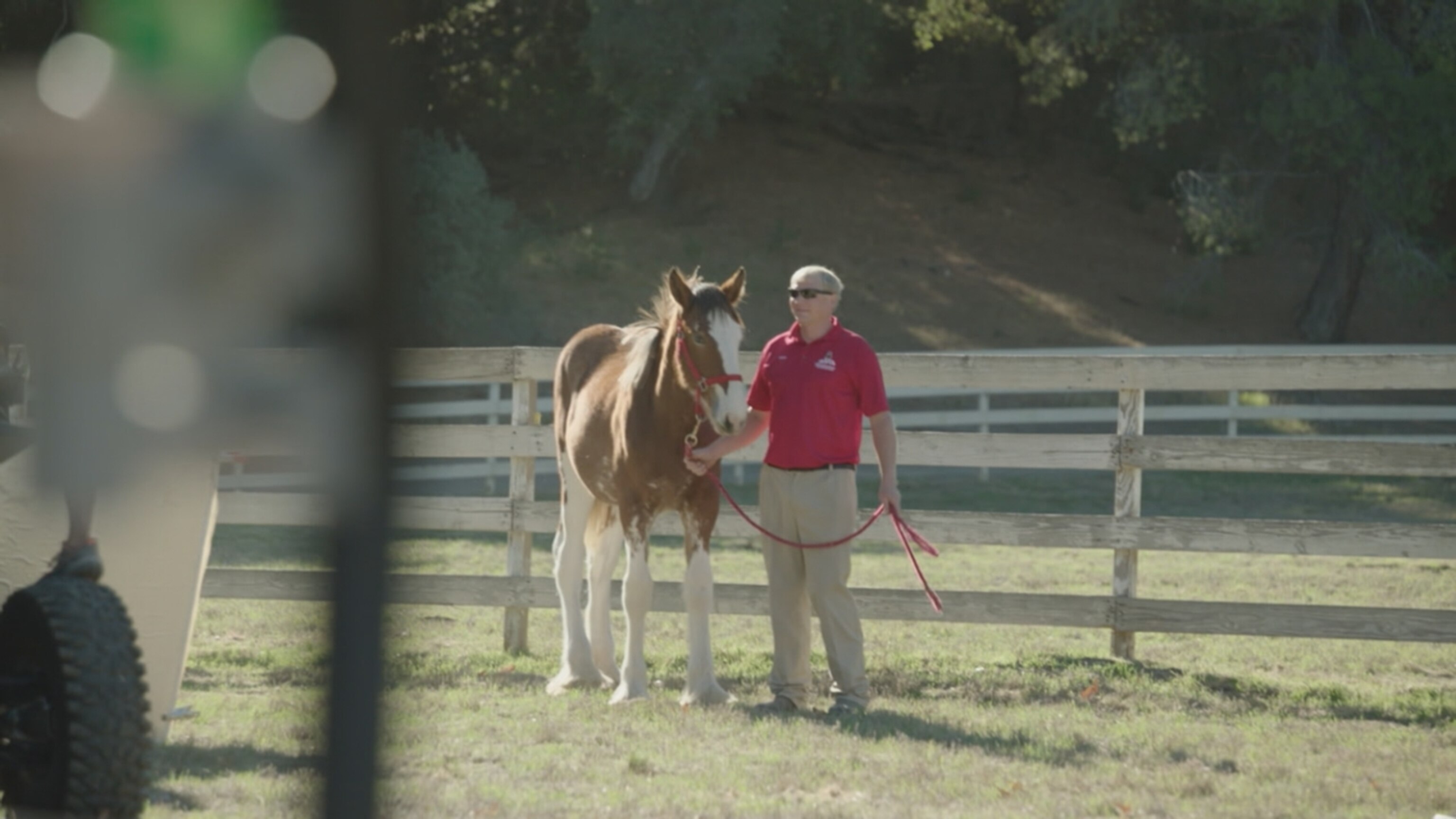 New Budweiser Super Bowl ad