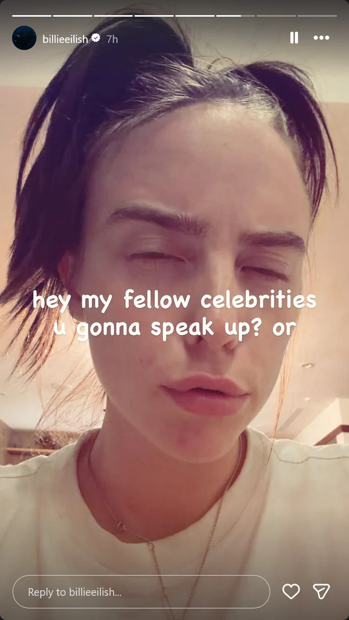 Billie Eilish Slams Celebrities With Brutal Nine-Word Message After ...