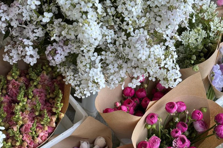 Couple ditch pricey London flat to buy dream home on 200-year-old farm