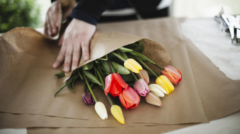 The meanings behind specific tulip colors