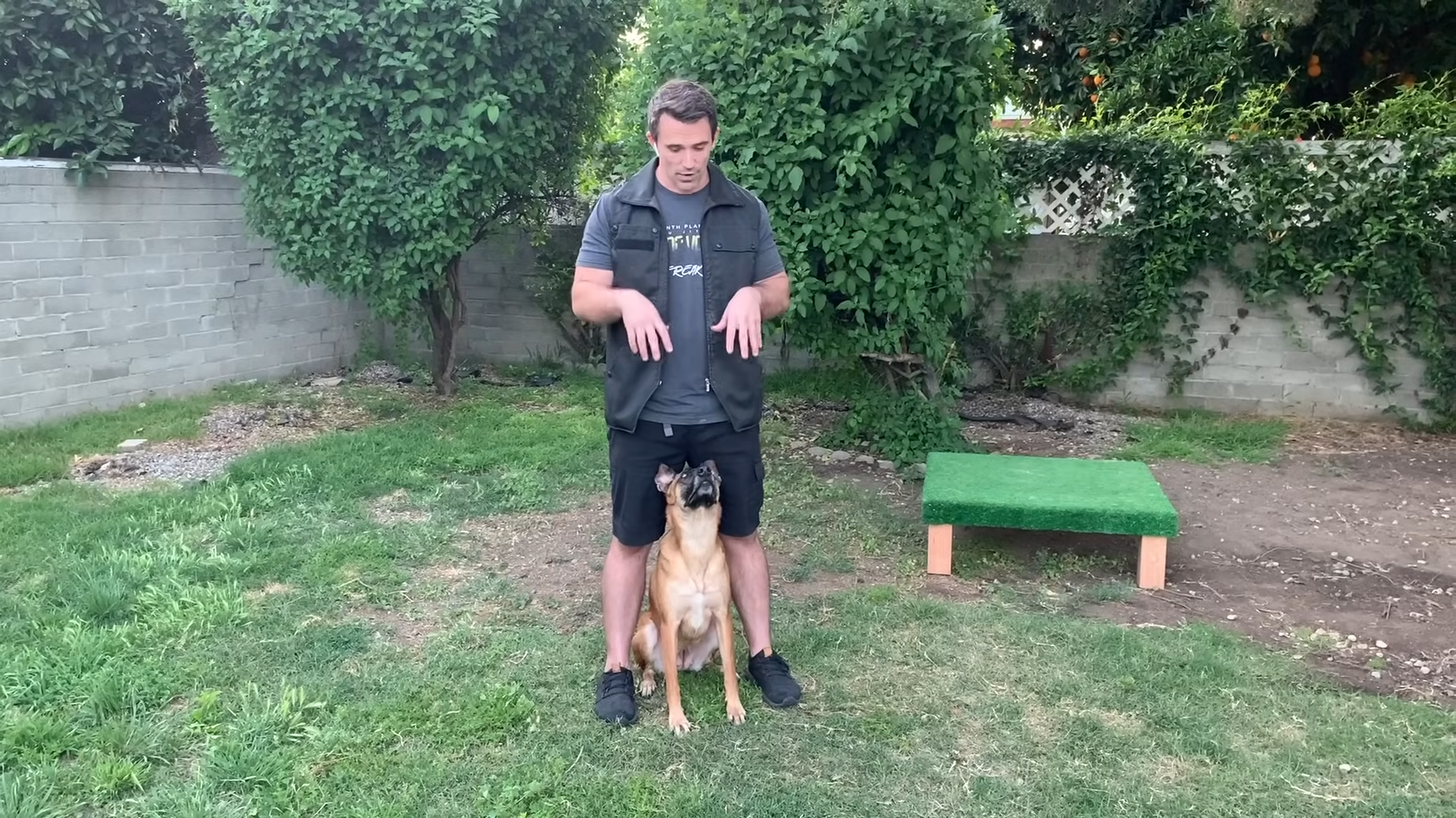 What people get wrong when they say “my dog knows the behavior”