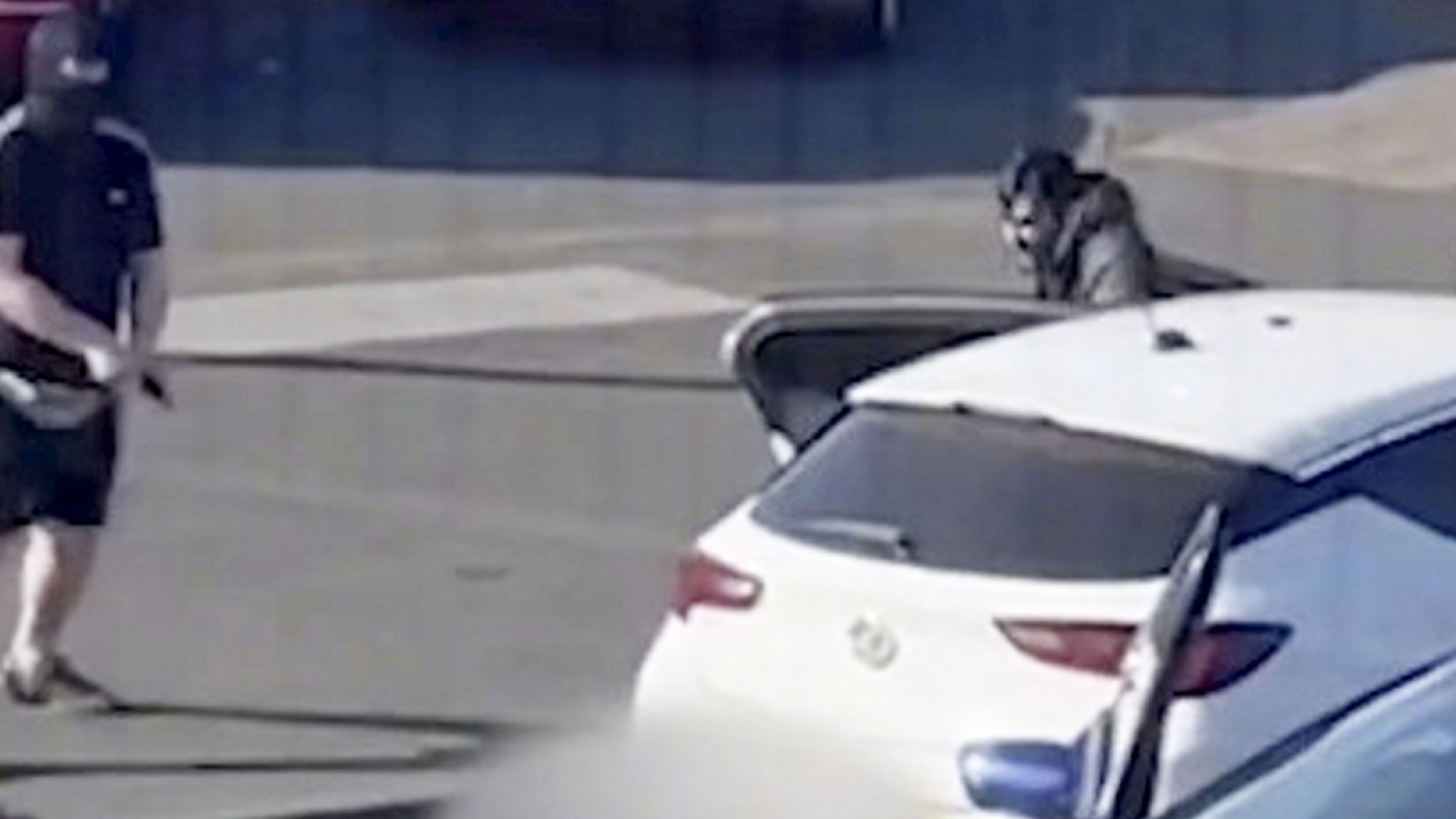 Thugs fight with machetes and a gun in wild street brawl