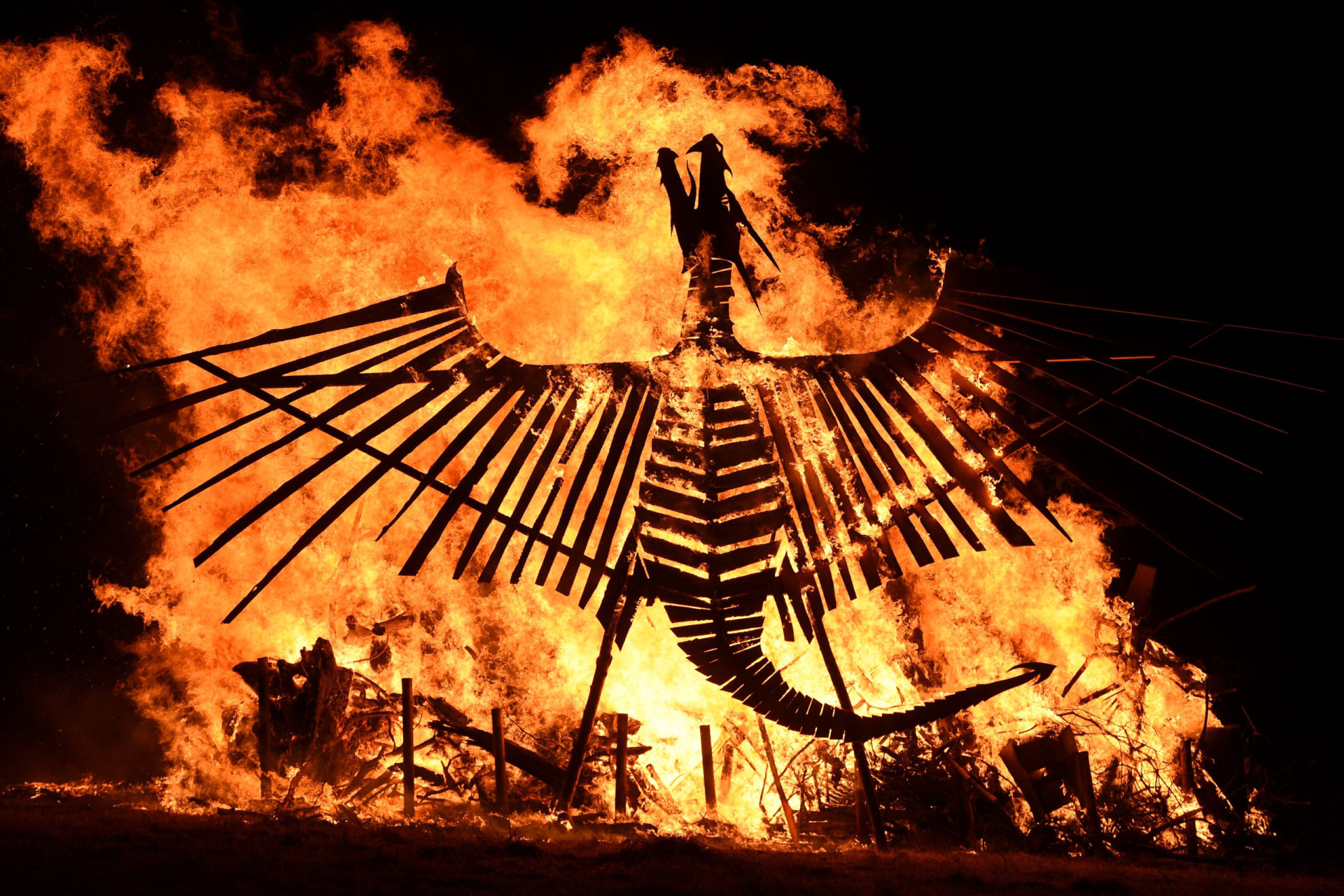 Why do festivals keep ending in disaster?