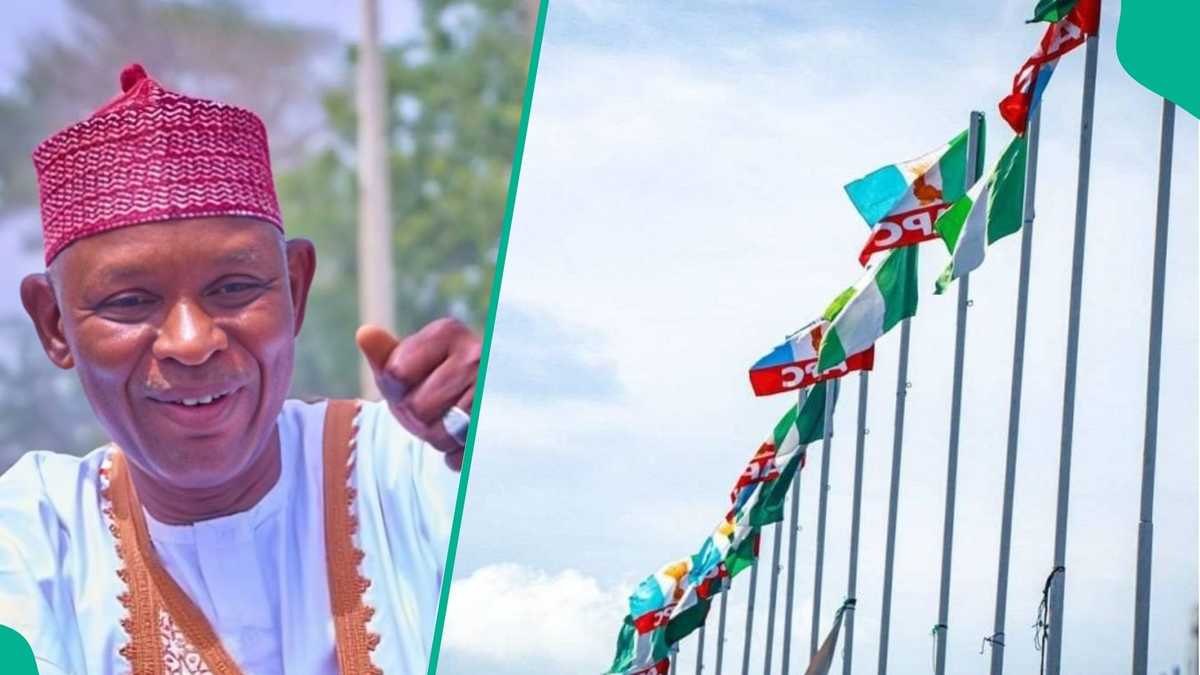 Breaking: All NNPP flags pulled down as APC takes over Kano amid ...