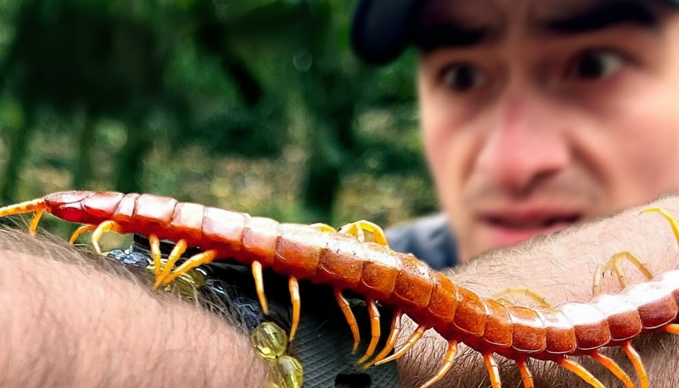 One mistake away from disaster during a hands-on test with a deadly ...