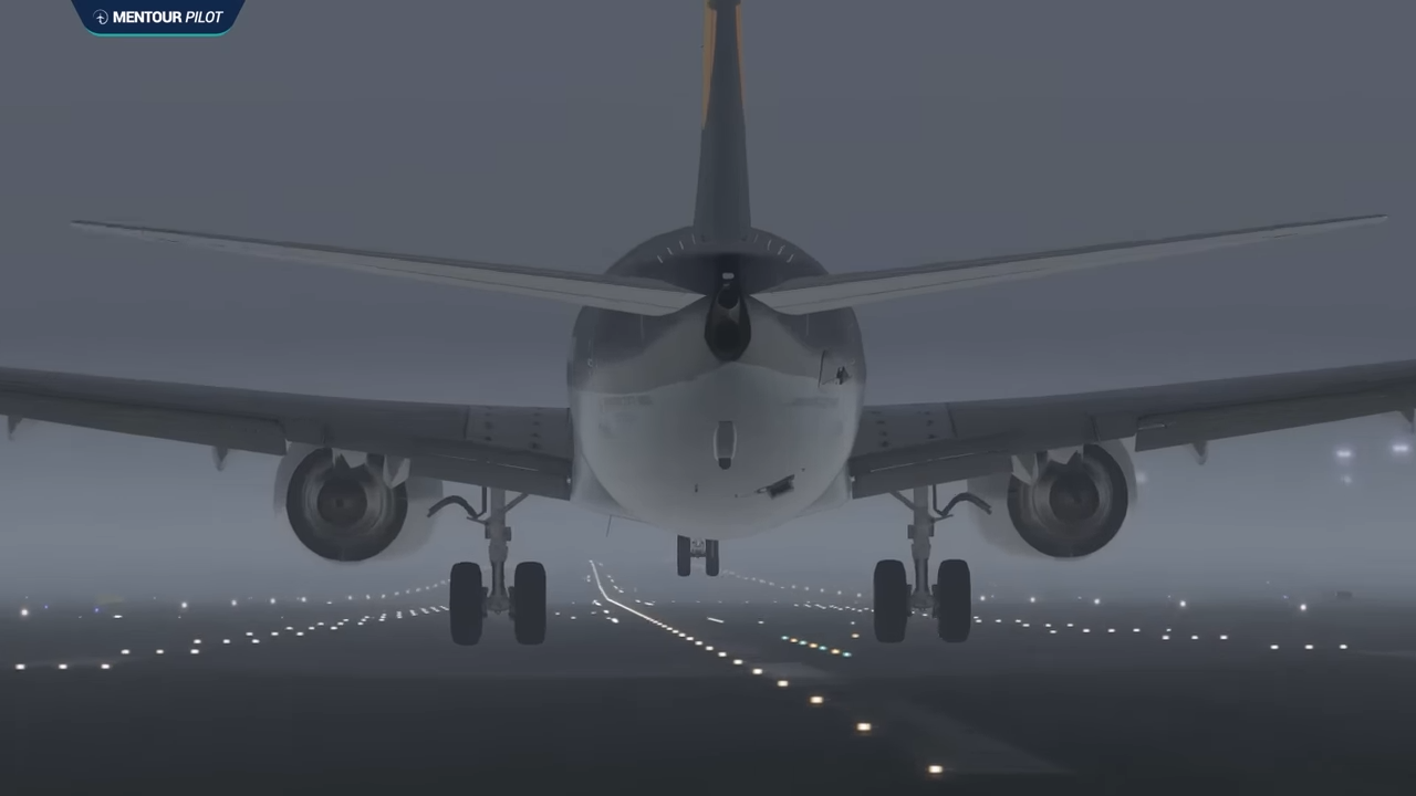 This is what desperation looks like at 35,000 feet